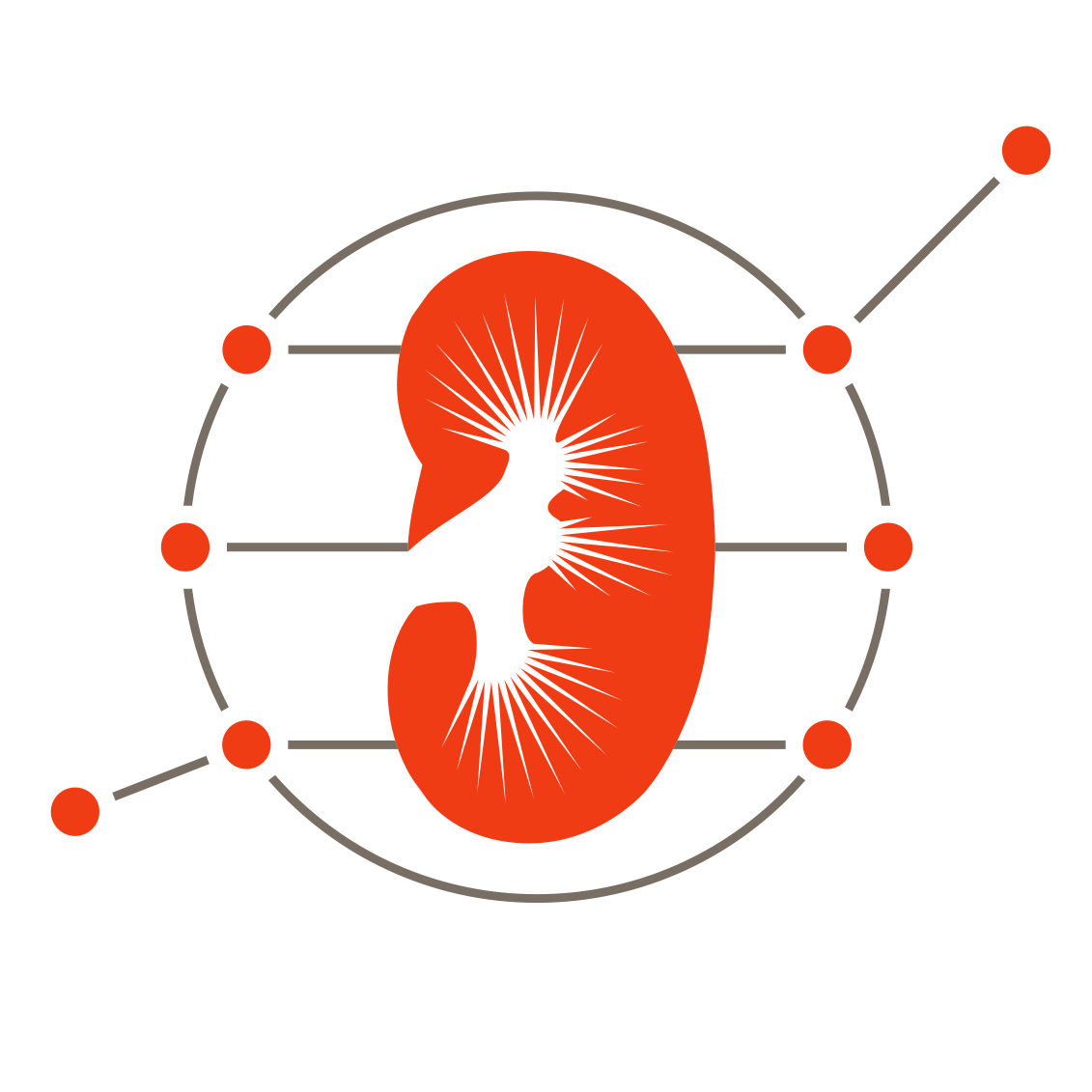 Peter L. Reichertz Institut für Medizinische Informatik: PLRI ...